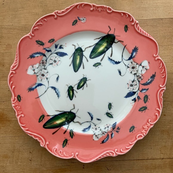Anthropologie | Dining | Lou Rota For Anthropologie Nature Table Plates ...